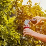 Sonoma County: Tasting Pass (Choose 1, 2, or 90 Days) - The Itinerary: How the Pass Works in Practice