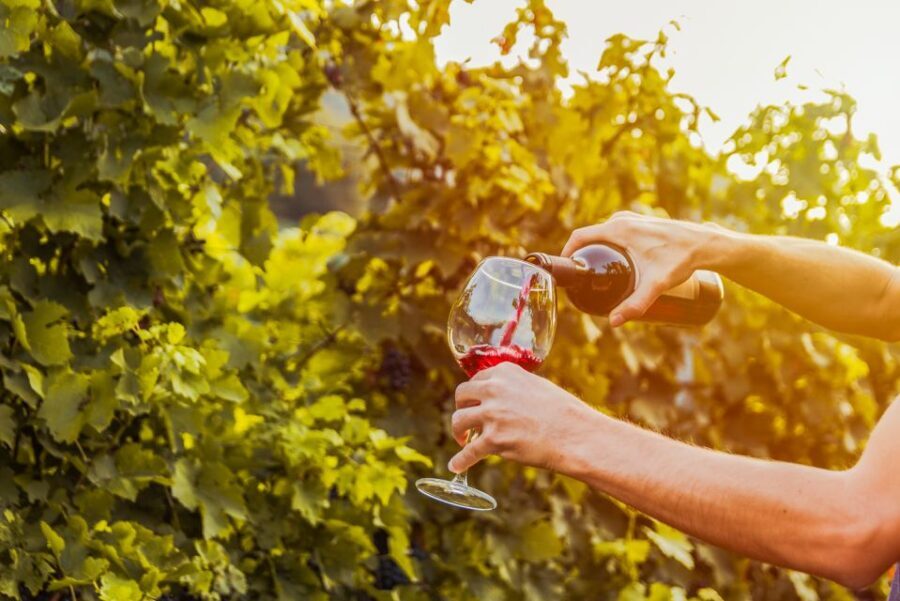 Sonoma County: Tasting Pass (Choose 1, 2, or 90 Days) - The Itinerary: How the Pass Works in Practice