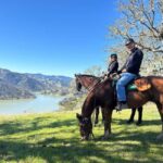 Sonoma County: Wine Country Horseback Riding Adventure - An Overview of the Sonoma County Horseback Riding Experience