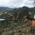 Sonoma: Horseback Riding Tour to Skaggs Vista Mountain - What Makes This Tour Special