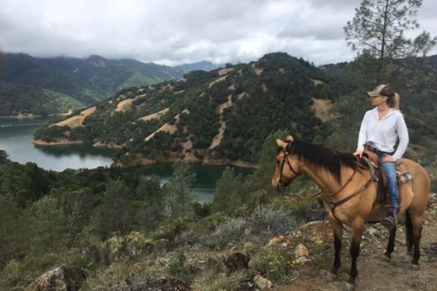 Sonoma: Horseback Riding Tour to Skaggs Vista Mountain - What Makes This Tour Special