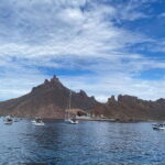 Sonora: Tour of the beach and viewpoint of San Carlos - Who Is This Tour Best For?
