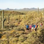 Sonoran Desert Guided Hike - The Value and Price Point