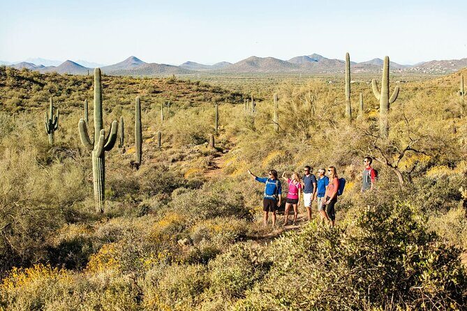 Sonoran Desert Guided Hike - The Value and Price Point