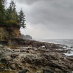 Sooke to Port Renfrew: Wild Pacific Adventure - Why This Tour Stands Out