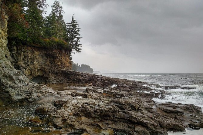 Sooke to Port Renfrew: Wild Pacific Adventure - Why This Tour Stands Out