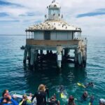 Sorrento: Boat Tour & Snorkeling with the Seals with Lunch - The Itinerary: What You’ll Experience