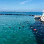 Sorrento: Dolphins & Seals Snorkeling Cruise w/ Lunch - What the Reviews Say