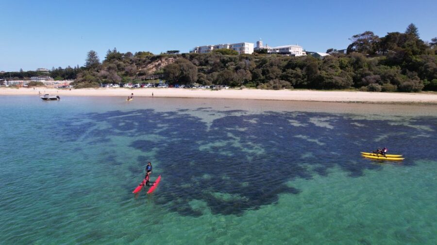 Sorrento, Mornington Peninsula Waterbike Tour - What to Expect: The Itinerary and Experience