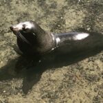 South Coast Nature Tour - Frequently Asked Questions