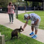 South Coast Private Daily Group Tour - Pick up & Drop off - Final Thoughts: Who Will Enjoy This Tour?