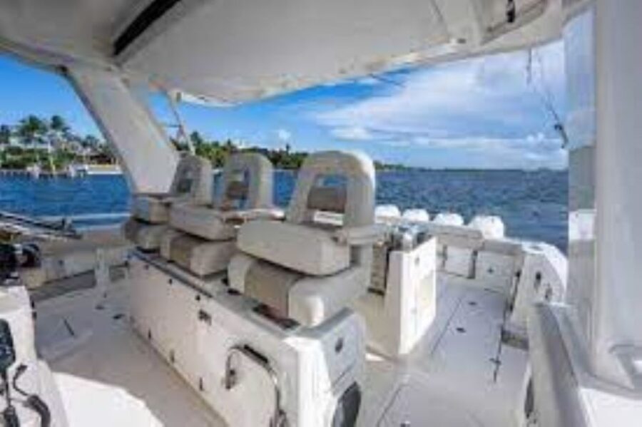 South Maui: Maalaea Guided Luxury Snorkel Cruise - The Snorkel Experience: What You’ll Encounter