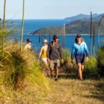 South Molle Island Self Guided Walking Tour - What Travelers Say