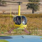 Southern Barossa & Reservoirs: 15 Minute Scenic Flight - Key Points