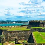 Southern Coast Highlights and River Safari from Balapitiya - FAQs