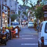 Southern Coast Highlights from Balapitiya - Transportation and Overall Experience