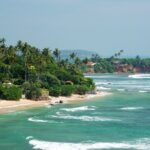 Southern Coast Highlights Tour from Bentota - Who is This Tour Best Suited For?