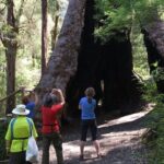 Southern Experience 3 Day Tour - Who Would Love This Tour?