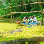 Southern Forest Tour  Explore Hau Giang Nature - Transportation and Comfort