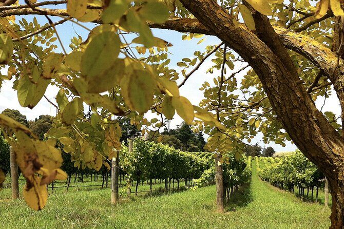 Southern Highlands Private Tour with Wine, Waterfall and Garden - Authentic Experiences and Authentic Guides