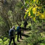 Southern Ocean Walk: 4-Day Guided Fleurieu Peninsula walk - FAQs