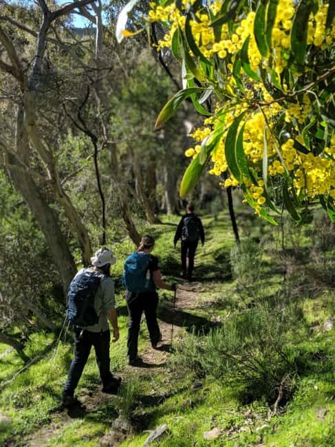 Southern Ocean Walk: 4-Day Guided Fleurieu Peninsula walk - FAQs