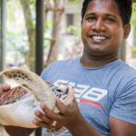 Southern Sri Lanka Sightseeing Day Trip From Colombo & Negombo - Who Should Consider This Tour?