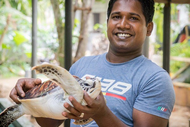 Southern Sri Lanka Sightseeing Day Trip From Colombo & Negombo - Who Should Consider This Tour?