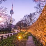 Special City Night Tour - Who Would Enjoy This Tour?