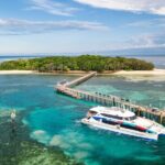 Special Offer: Great Barrier Reef & Green Island Day Tour - Optional Extras: For the Adventurous