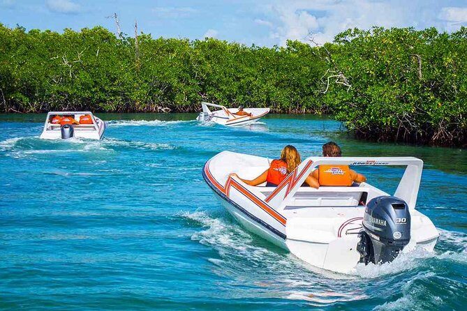 Speed boat aventure and snorkel - Final Thoughts: Is It Worth It?