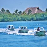Speed Boat & Snorkel Tour with transportation ( only Cancun zone area) - Who Is This Tour Best For?