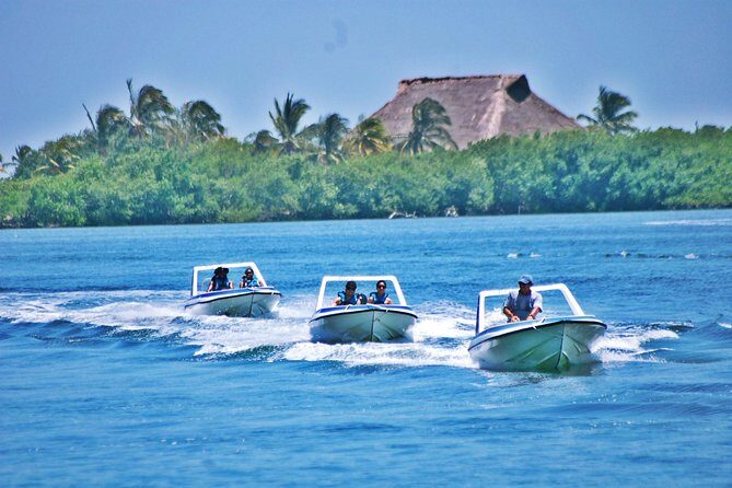 Speed Boat & Snorkel Tour with transportation ( only Cancun zone area) - Who Is This Tour Best For?