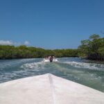 Speedboat and snorkel tour: Single Passenger Boat - Weighing the Value: Price, Duration, and Authenticity