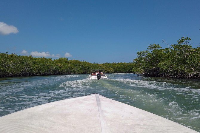 Speedboat and snorkel tour: Single Passenger Boat - Weighing the Value: Price, Duration, and Authenticity