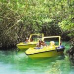 Speedboat and Snorkeling Adventure in Cancun - Who Will Love This Tour?