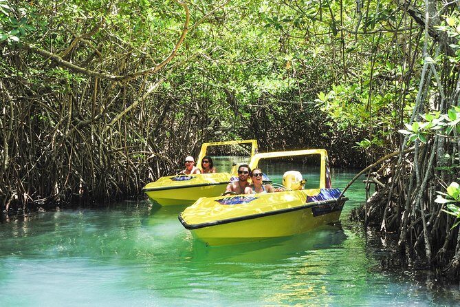 Speedboat jungle tour and snorkel - Final Thoughts