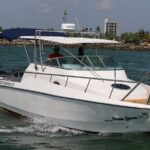 Sports Boat- Private Whale Watching Trip( free breakfast & paid pick-up) - Authentic Reviews and Insights