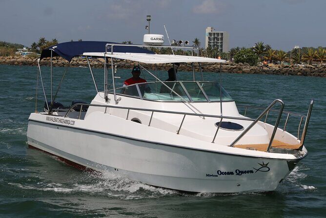 Sports Boat- Private Whale Watching Trip( free breakfast & paid pick-up) - Authentic Reviews and Insights