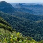 Spring Brook National Park Driving Tour with an APP - What Makes This Tour Stand Out?