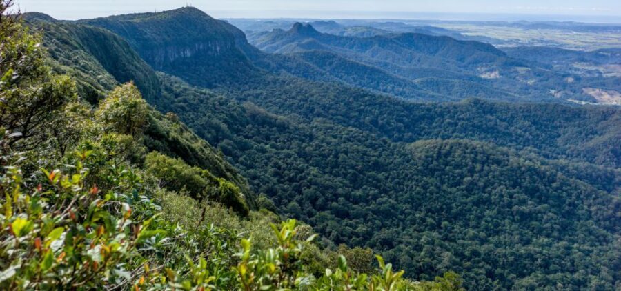 Spring Brook National Park Driving Tour with an APP - What Makes This Tour Stand Out?