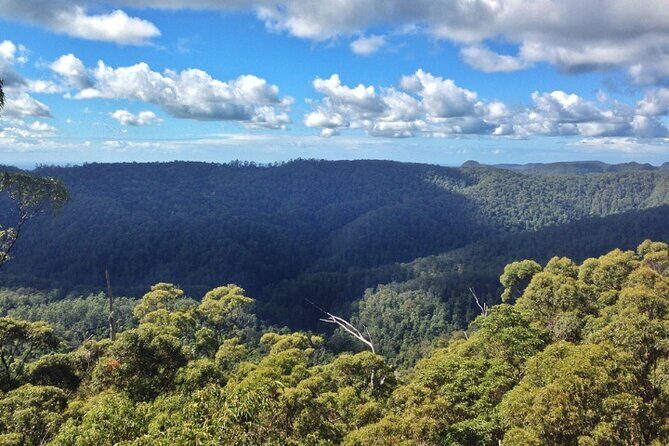 Spring Brook National Park Self Guided Driving Tour - Who Would Love This Tour?