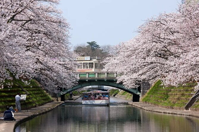Spring Quartet & Matsukawa Sakura Tour in Toyama from Kanazawa - What You Gain from This Tour
