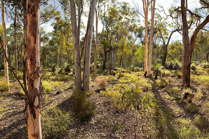 Spring Wildflower Private Day Tours - The Itinerary in Detail