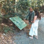 Springbrook andTamborine Rainforest Tour Incl Natural Bridge and Glow Worm Cave - The Value of This Tour