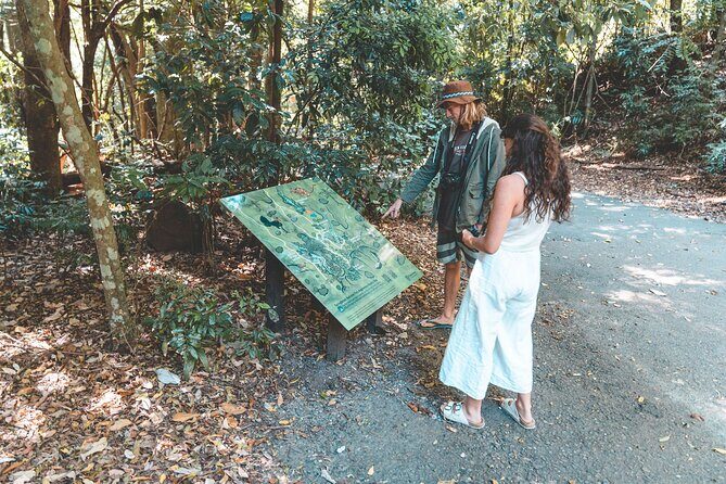 Springbrook andTamborine Rainforest Tour Incl Natural Bridge and Glow Worm Cave - The Value of This Tour