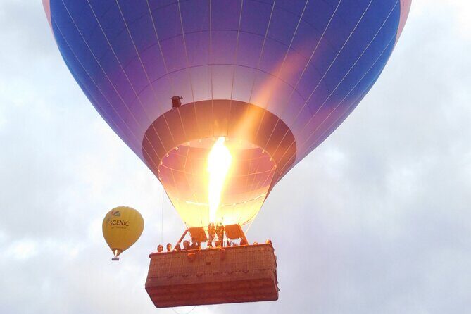 Springbrook, Natural Arch & Numinbah Valley + Hot Air Balloon with Breakfast - Exploring Springbrook National Park: Ancient Forests and Waterfalls