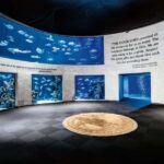 Springfield: Wonders of Wildlife National Museum & Aquarium - An In-Depth Look at the Wonders of Wildlife Experience