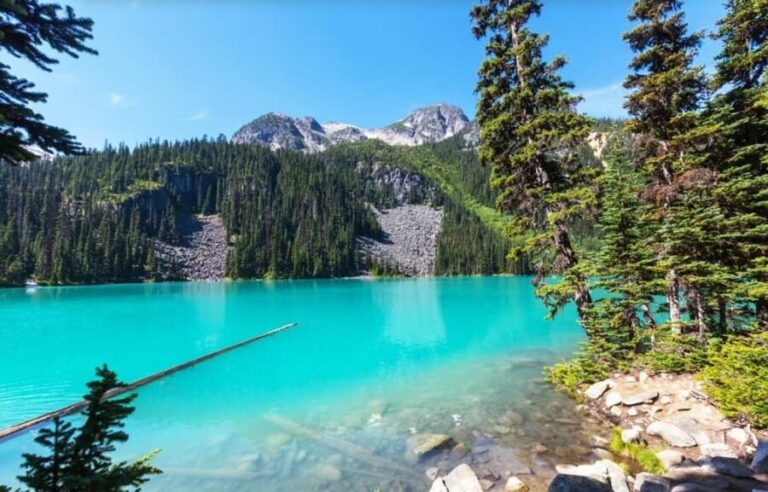 Squamish-Lillooet: Joffre Lakes Guided Hike - Authenticity and Value