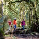 Squamish: Stawamus Chief Guided Hike - The Descent: A Different Perspective